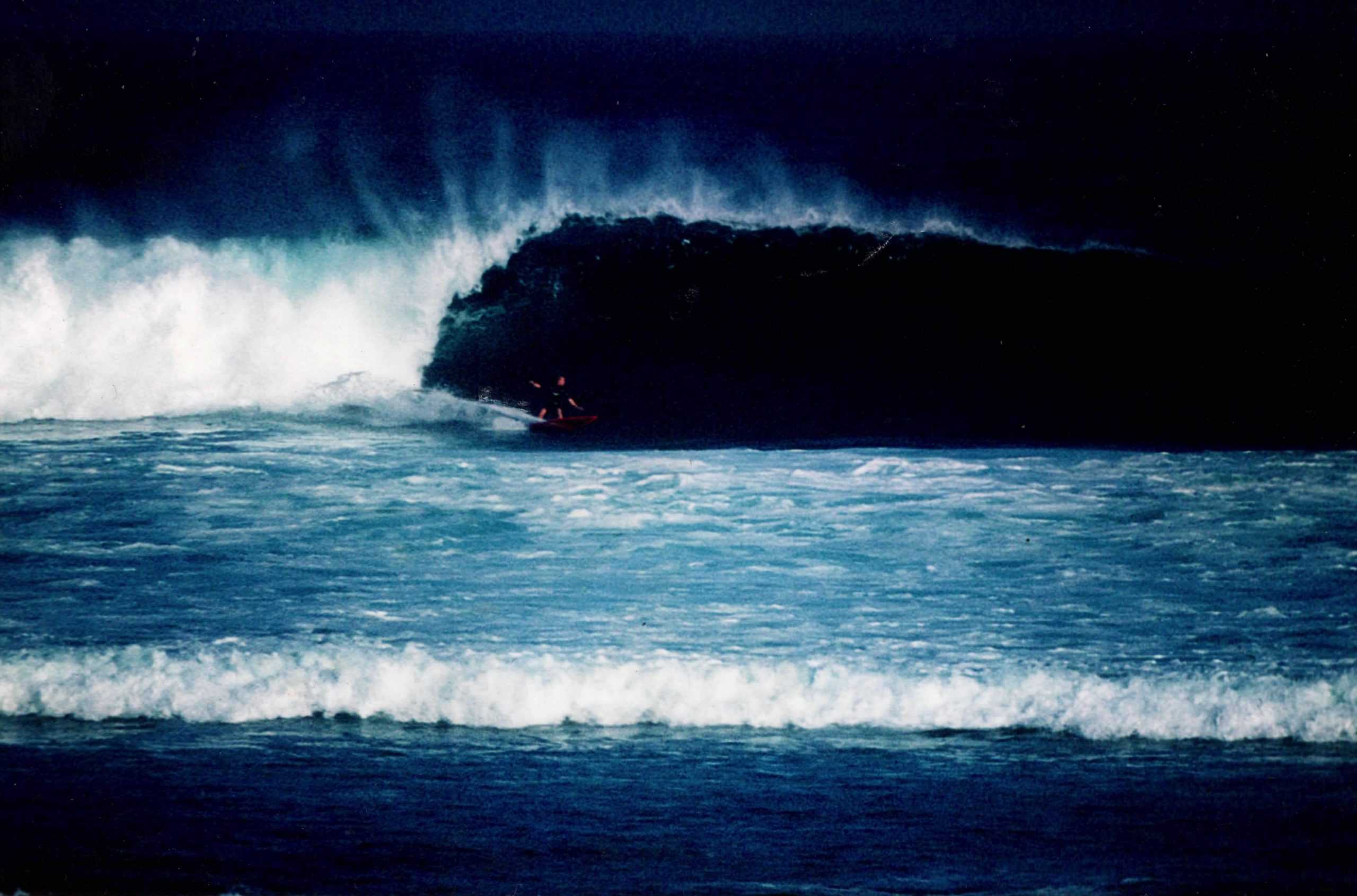 Canarian Dreaming - Family Rhino